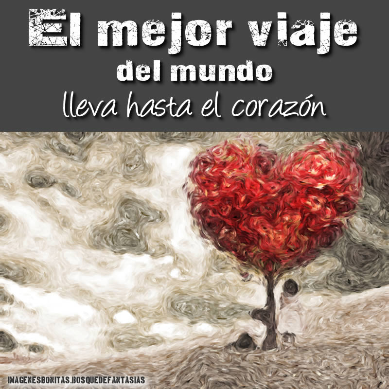 IMÁGENES DE CORAZONES ® Fotos de Corazones de Amor