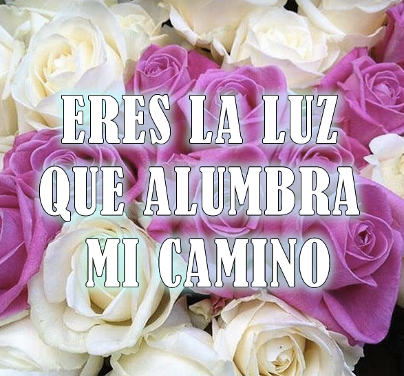 IMÁGENES DE FLORES ® Fotos de Rosas, Margaritas o Lirios
